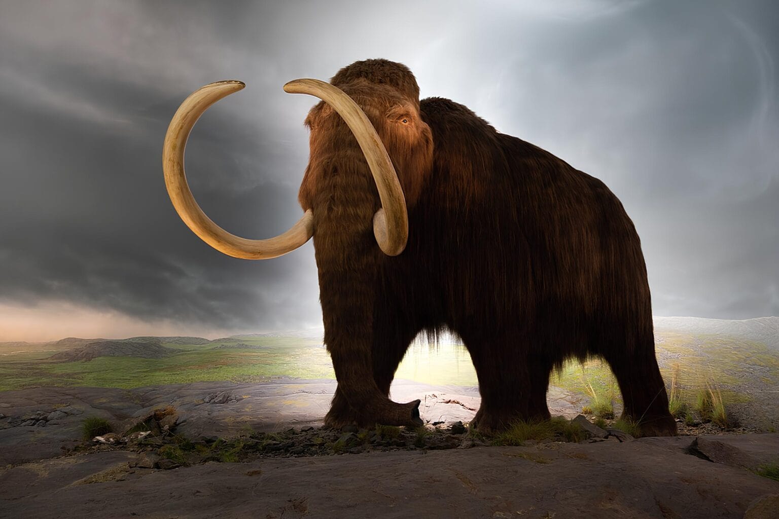 Mammoth Revival: Colossal Biosciences Raises $200M for De-Extinction